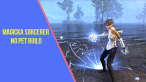 The Best Sorcerer Builds for ESO - ArzyeLBuilds
