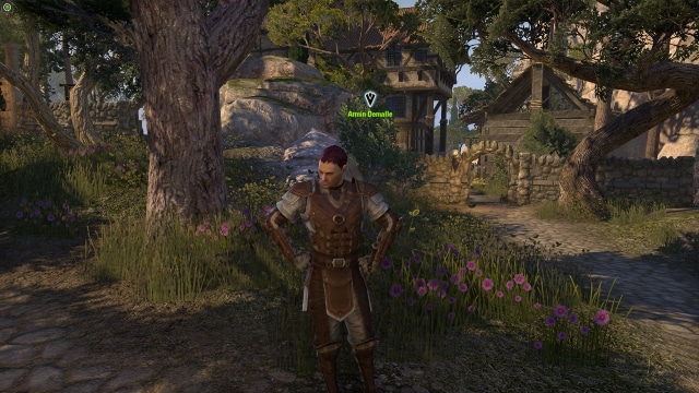 How to Get Rajhin, the Purring Liar Patron Deck in ESO - ArzyeLBuilds
