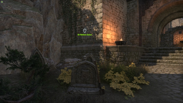 How to Get Rajhin, the Purring Liar Patron Deck in ESO - ArzyeLBuilds