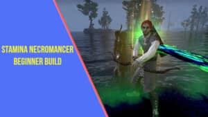 Best Stamina Necromancer Beginner Build for ESO - ArzyeLBuilds