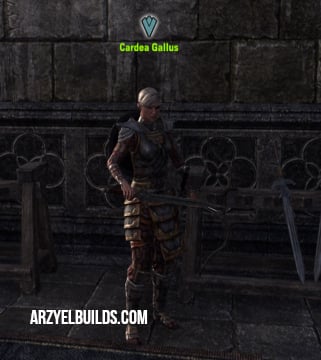 Ultimate Fighters Guild Daily Quests Guide for ESO - ArzyeLBuilds